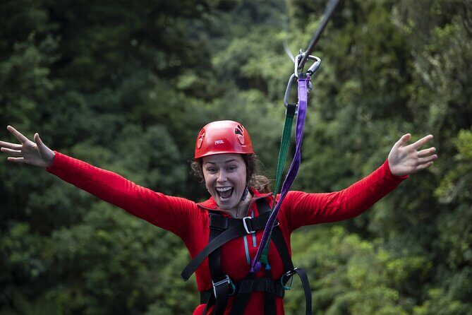The Original Canopy Zipline Experience Private Tour From Auckland - Who Will Love This Experience?