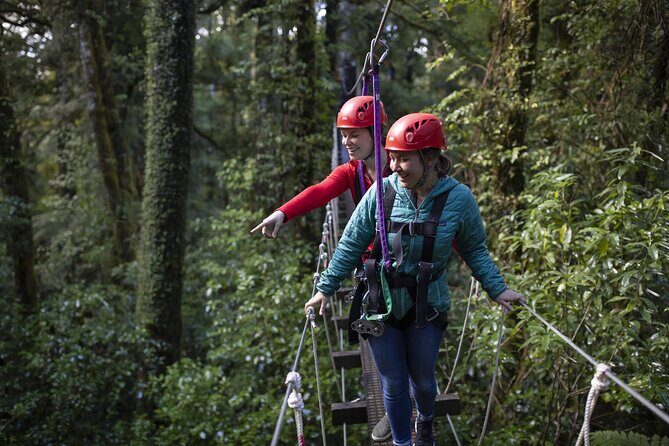 The Original Canopy Zipline Experience Private Tour From Auckland - Final Thoughts