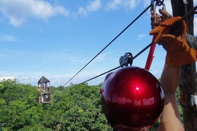 The Original Cozumel Zipline Adventure - Reviews and Authentic Experiences