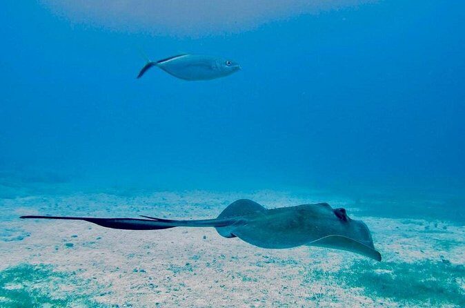 The Original Eco Tour Full-Day Around the Island of Sint Maarten - Final Thoughts