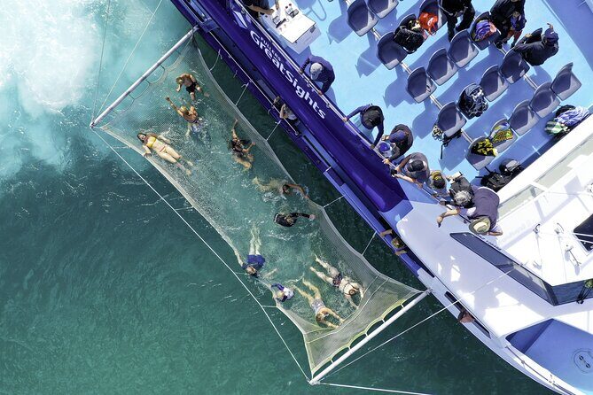 The Original Full day Bay of Islands Cruise with Dolphins - Practical Details and Value