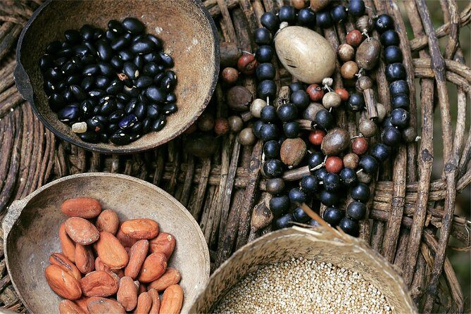 The Original Jeep Tour Revamped by Tortugas Cozumel® (Private) - FAQ