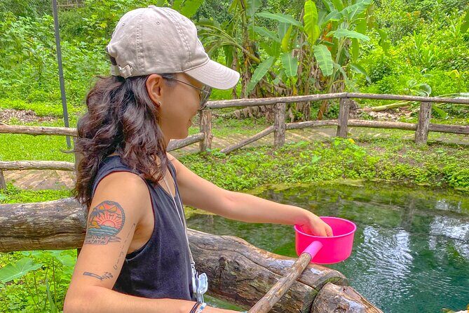 The Original Sticky Waterfalls All Inclusive - Authentic Thai Lunch: A Taste of the Region