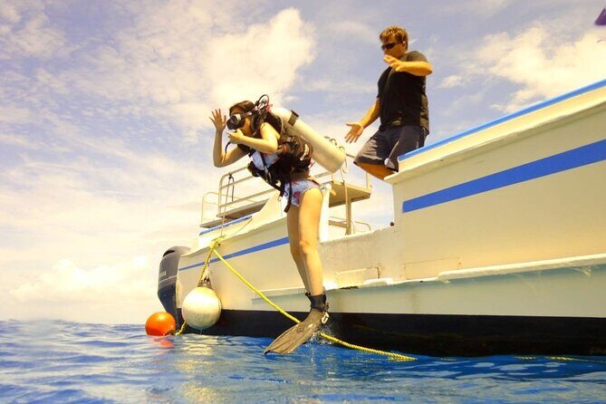 The Original Tiger Shark Challenge - An In-Depth Look at The Tiger Shark Challenge
