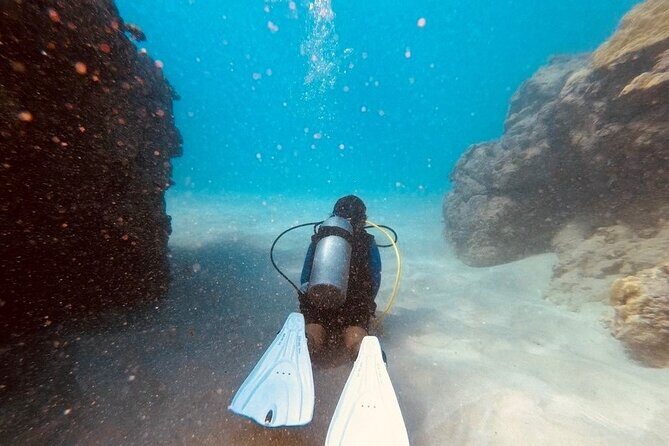 The Original Tiger Shark Challenge - Final Thoughts
