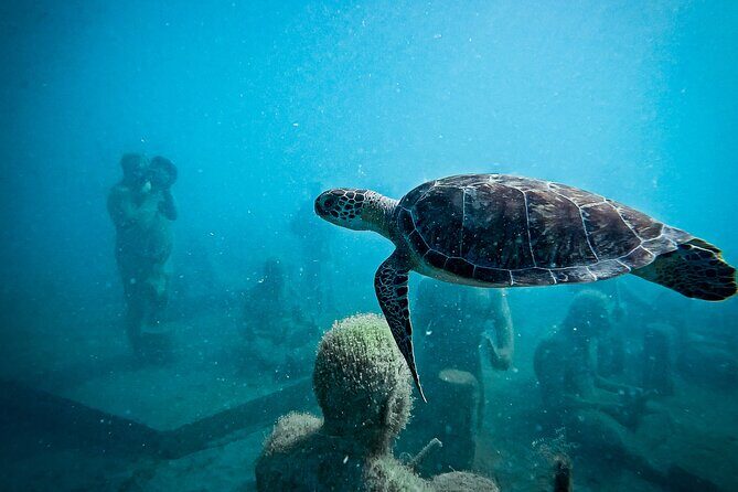 The Original Underwater Sculpture Park Snorkel Tour - Exploring the Itinerary in Depth