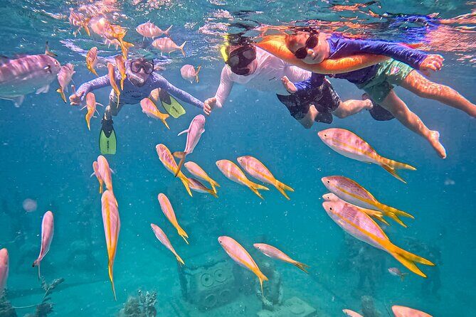 The Original Underwater Sculpture Park Snorkel Tour - Frequently Asked Questions