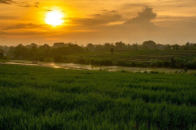 The Other Side of Bali - The North - A Deep Dive into the Itinerary