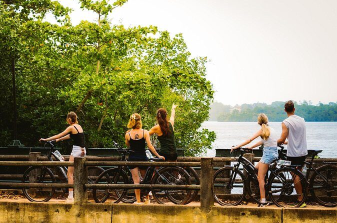 The Paddy and Lake Trail - What the Reviews Say