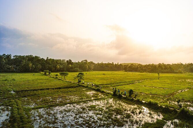 The Paddy Trail - Key Points