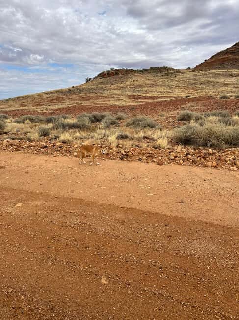 The Painted Desert Tour - FAQ