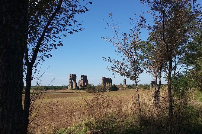 The Park of the Aqueducts Private Walking Tour - Authenticity and Accessibility