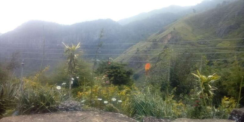 The Pekoe Trail, Stage 12, Trekking Fm Udaweriya To Haputale - Authenticity and Local Flavor