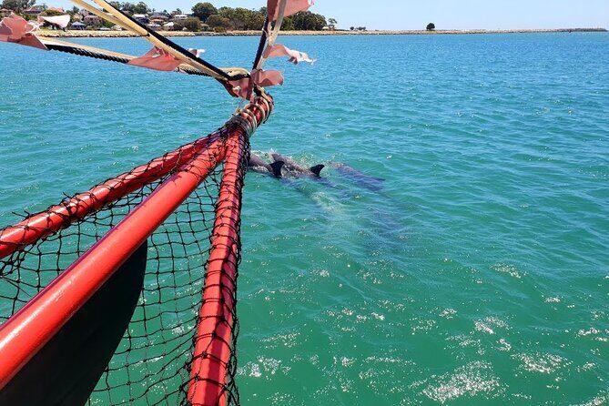 The Pirate Cruise in Mandurah on Viator - A Deep Dive into the Mandurah Pirate Cruise Experience