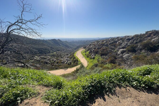 The Premier Hollywood Sign Tour: Nature in the Heart of the City - Authentic Experiences and Insights