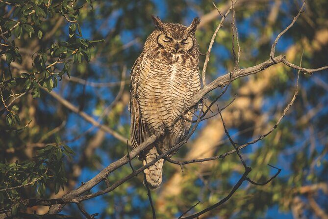 The Premier Wildlife Tours in Rocky Mountain National Park - The Guide and Experience