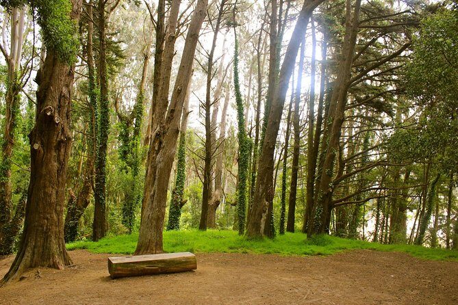 The Presidio: Main Post to the Golden Gate Bridge - Summary: Is It Worth It?