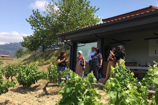 The Real Rioja Explore Tour - Private experience - Who Should Consider This Tour?