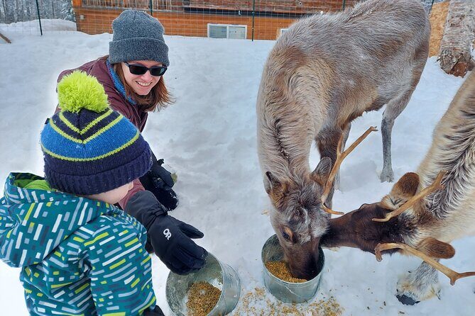 The Reindeer Grove Homestead Tour and Forage - Why This Tour is a Great Choice