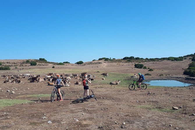 The ring of Mountain Tuttavista with Electric Mountain Bikes - Key Points