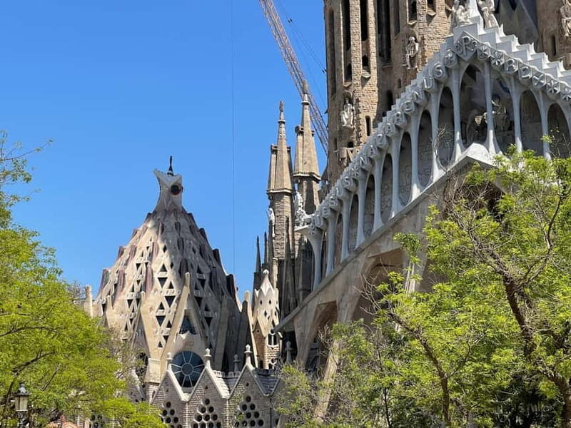 The Sacred Vision: Sagrada Família Guided Experience - Practical Details and Tips