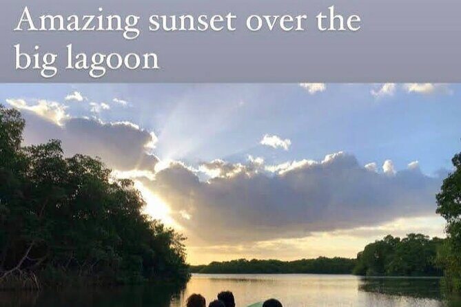 The Scarlet Ibis - Caroni Swamp Tour - The Cultural Stop at Ariapita Avenue