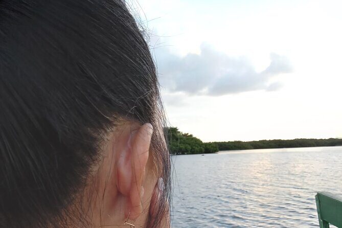 The Scarlet Ibis - Caroni Swamp Tour - Whats Included and What’s Not