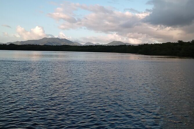 The Scarlet Ibis - Caroni Swamp Tour - Final Thoughts