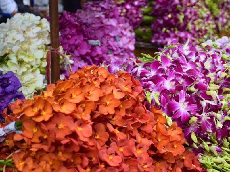 The Scents Bangkok: From Flower Market to DIY Thai Perfume - Key Points