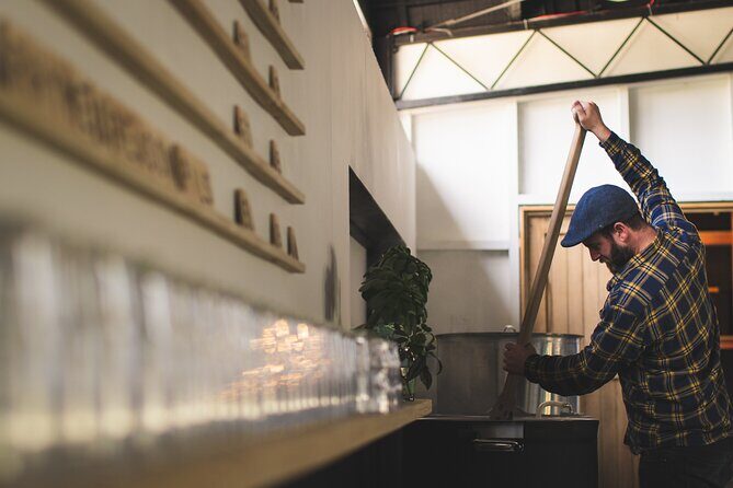 The Seasider - See Otagos Coastline From a New Perspective - The Sum Up