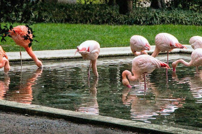 The Secret Milan  An Exclusive Stroll Beyond the Beaten Path - Starting Point: Piazza San Fedele