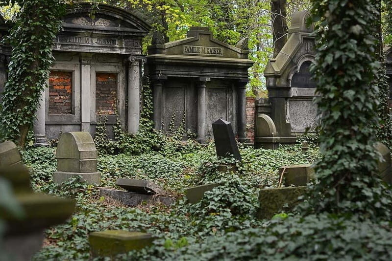 The secret of finality  a silent cemetery tour - Key Points