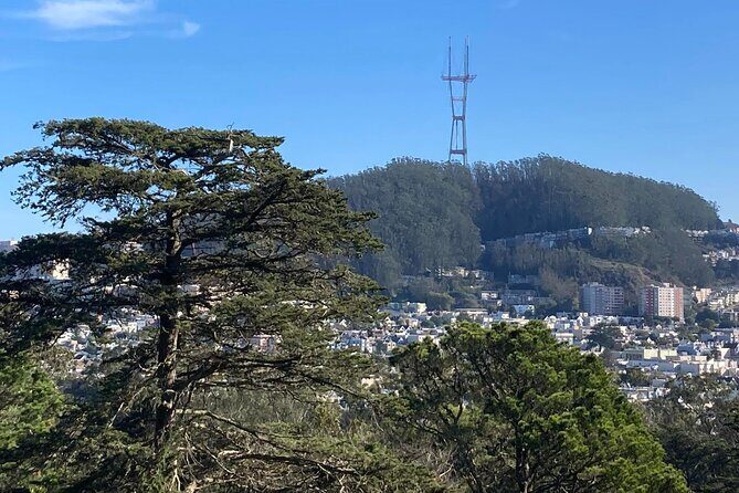 The Secrets of Golden Gate Park: A San Francisco Chronicle Self-Guided Tour - Is This Tour Right for You?