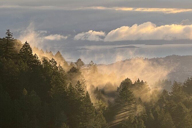 The Secrets of Sacred, Sexy Salmon, Spawning NOW - FAQ