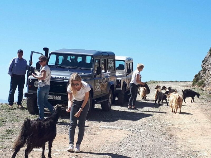 The Secrets Of The Southern Crete Safari tour - Is the Price Worth It?