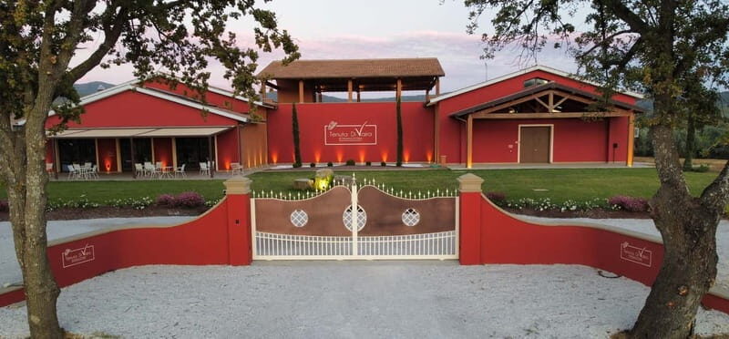 The Selections: visit and tasting in the Bolgheri Doc region - Discovering the Bolgheri DOC Region with Tenuta Di Vaira: A Practical Review