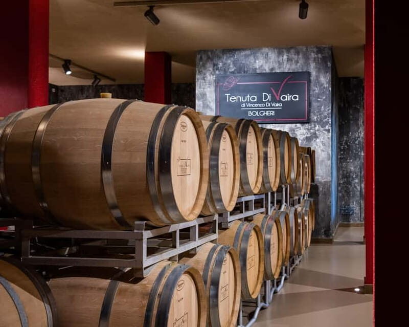 The Selections: visit and tasting in the Bolgheri Doc region - Key Points