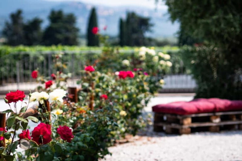 The Selections: visit and tasting in the Bolgheri Doc region - FAQ