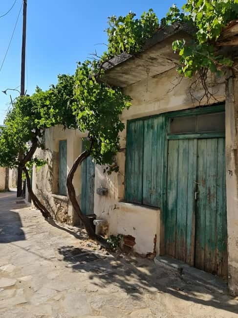 The selective food tour Feel like local from Heraklion - Final Thoughts on Who Should Book