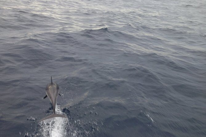 The Soul Of Pirates Boat Trip Adventure Caribbean Charter Full Day SXM - The Overall Experience