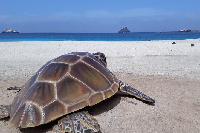 The Soul Of Pirates Boat Trip Adventure Caribbean Charter Full Day SXM - The Sum Up: Who Will Love This Tour?