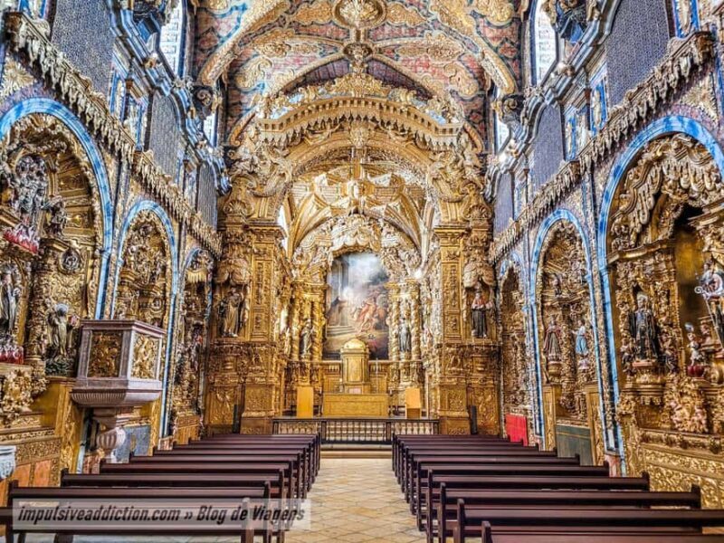 The Soul of Porto: Walking Tour with Food and Wine Tasting - Why This Tour Offers Great Value