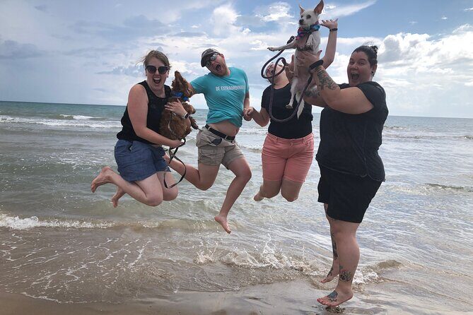The South Padre Shuffle Scavenger Hunt - What the Experience Looks Like