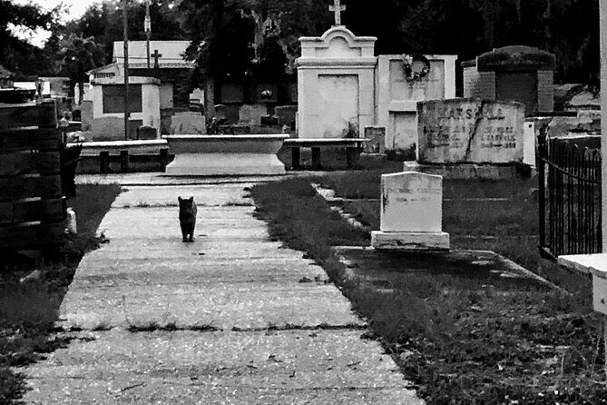 The Spirit Ghost Walking Tour - FAQ