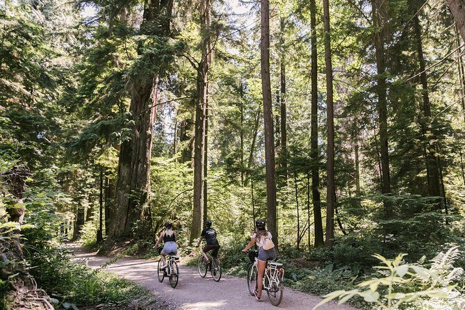The Stanley Park Bicycle Tour by Cycle City Tours - What the Tour Covers