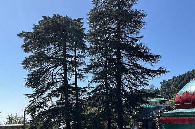 The Story Of Himalayas - A Journey from Amritsar to Dharamshala - FAQ