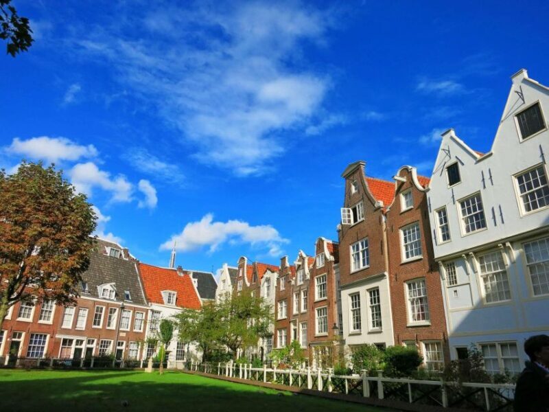 The Story of Vincent van Gogh Private Tour in Amsterdam - The Sum Up