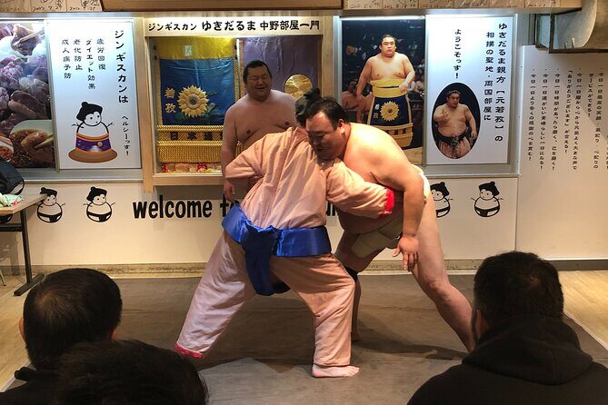 the SUMO show - What to Expect from the Tour