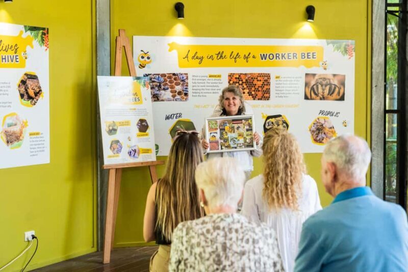 The Sunshine Coast: The Ginger Factory Play Taste & Discover - What to Expect: A Well-Organized, Family-Friendly Day