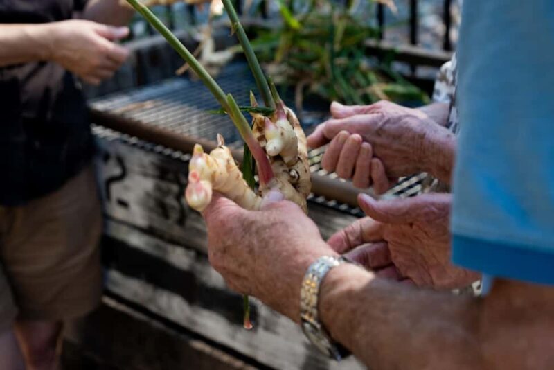 The Sunshine Coast: The Ginger Factory Tour & Tasting - The Value Proposition